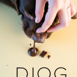 How to Make a Dog Throw Up After Eating Chocolate: Safe Steps for Pet ...