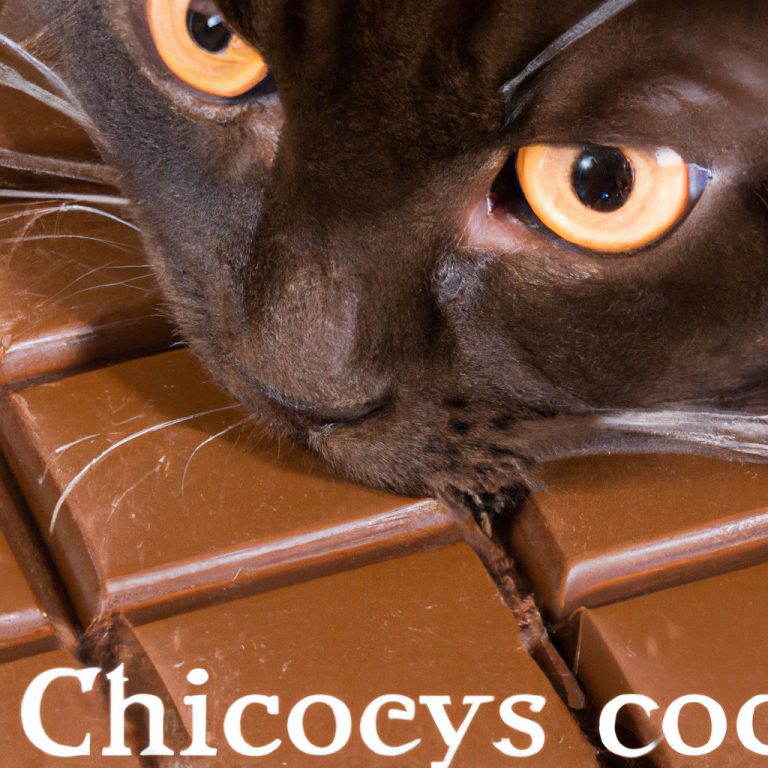 How Much Chocolate Can Kill a Cat: Safe Limits & Toxicity Risks