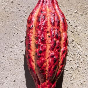 Ruby Cacao: Benefits, Recipes, and Buying Guide